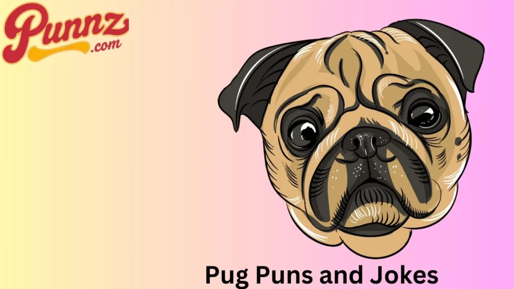 210+Pug Puns and Jokes (2025)