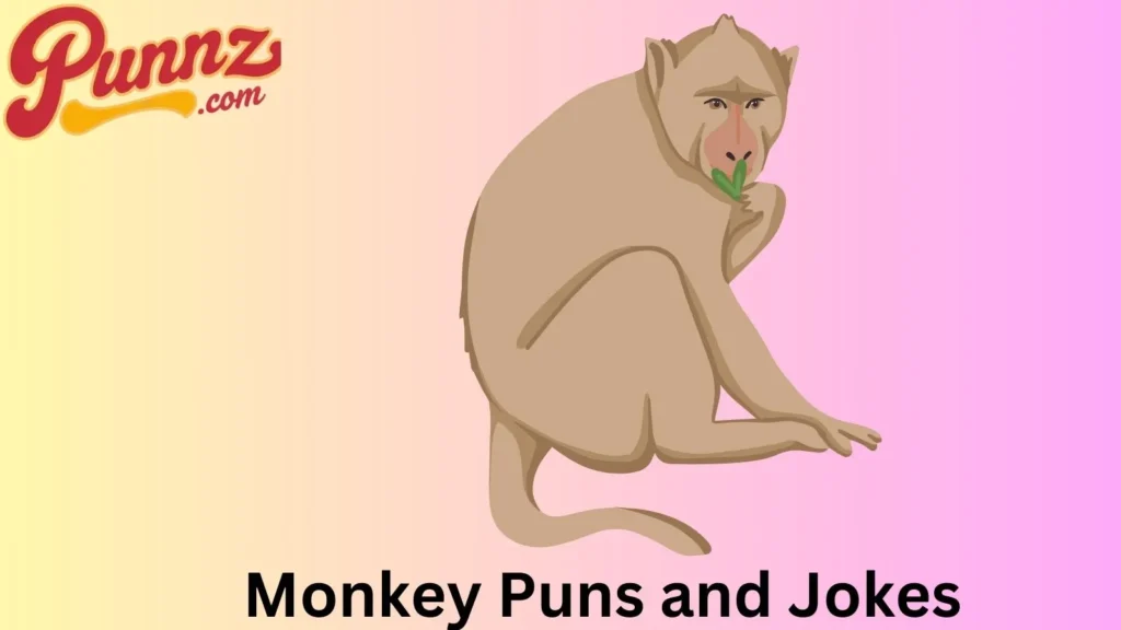 210+Monkey Puns and Jokes (2025)