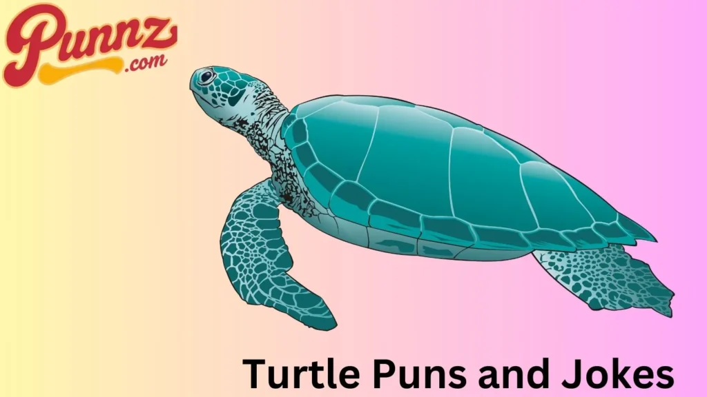 210 Turtle Puns and Jokes (2025)