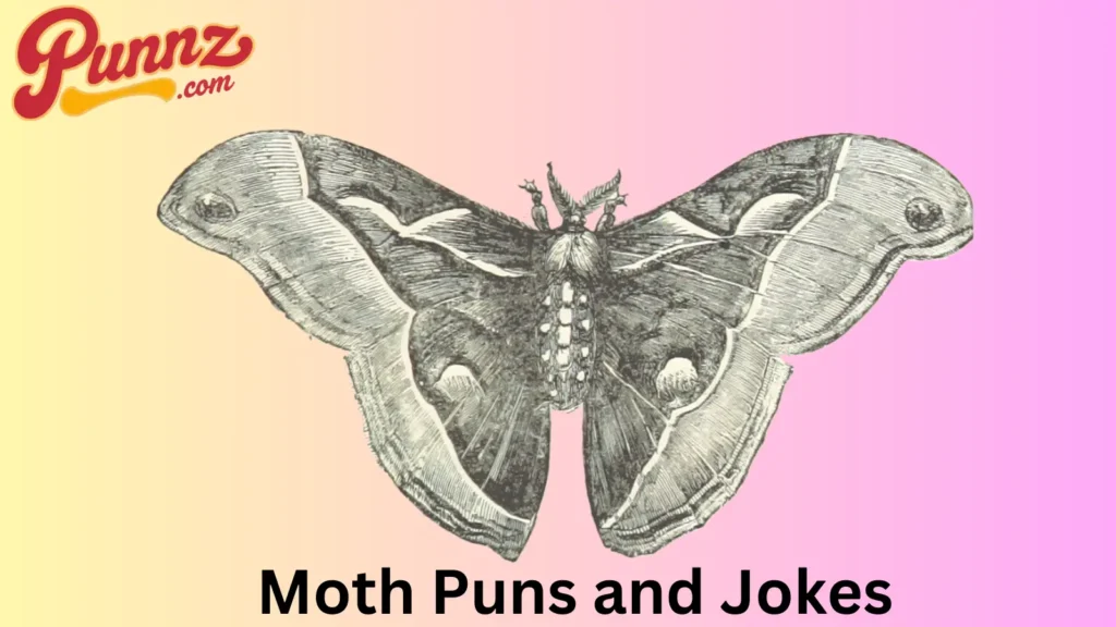 210 Top Moth Puns and Jokes (2025)