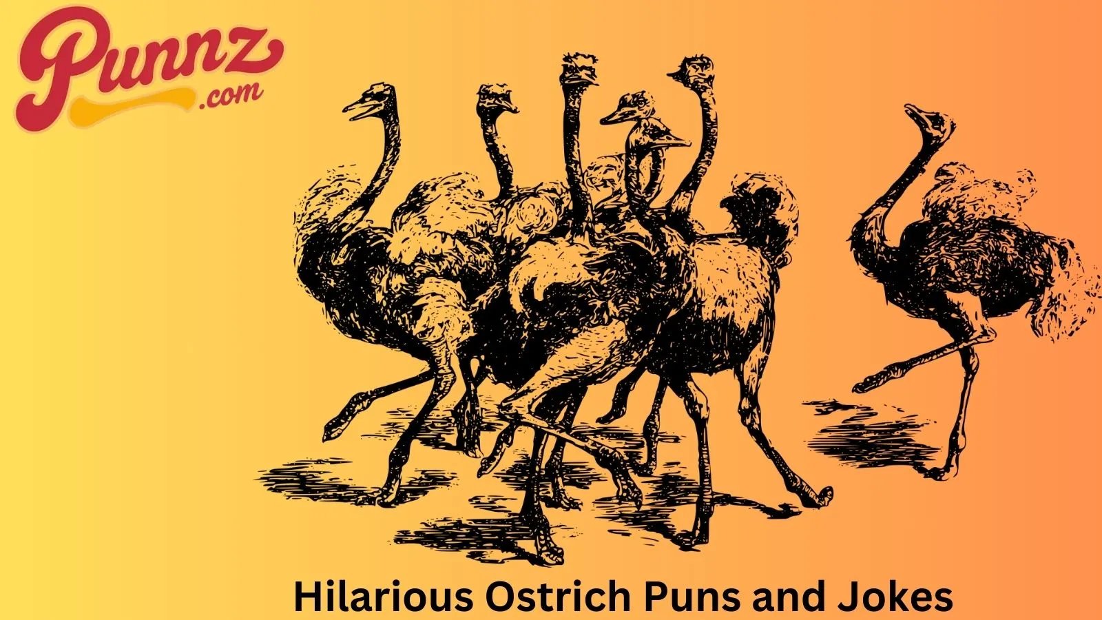 210 Hilarious Ostrich Puns and Jokes to Make You Laugh Out Loud(2025)