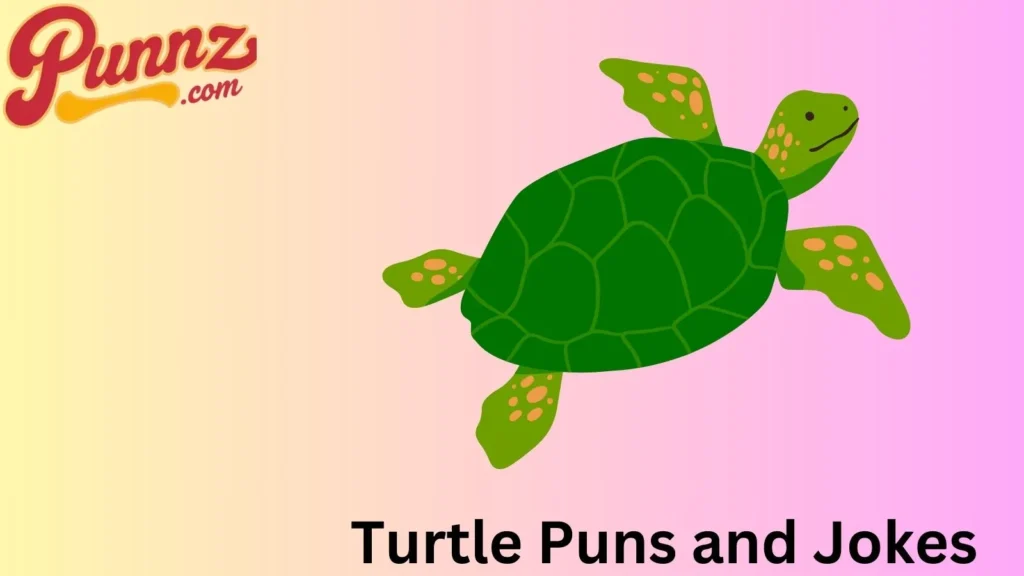 210 Turtle Puns and Jokes (2025)