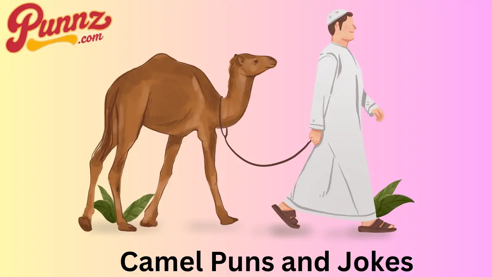 210 Top Camel Puns and Jokes (2025)