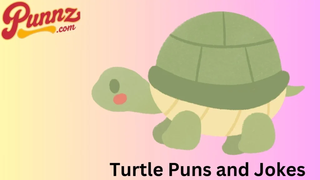 210 Turtle Puns and Jokes (2025)