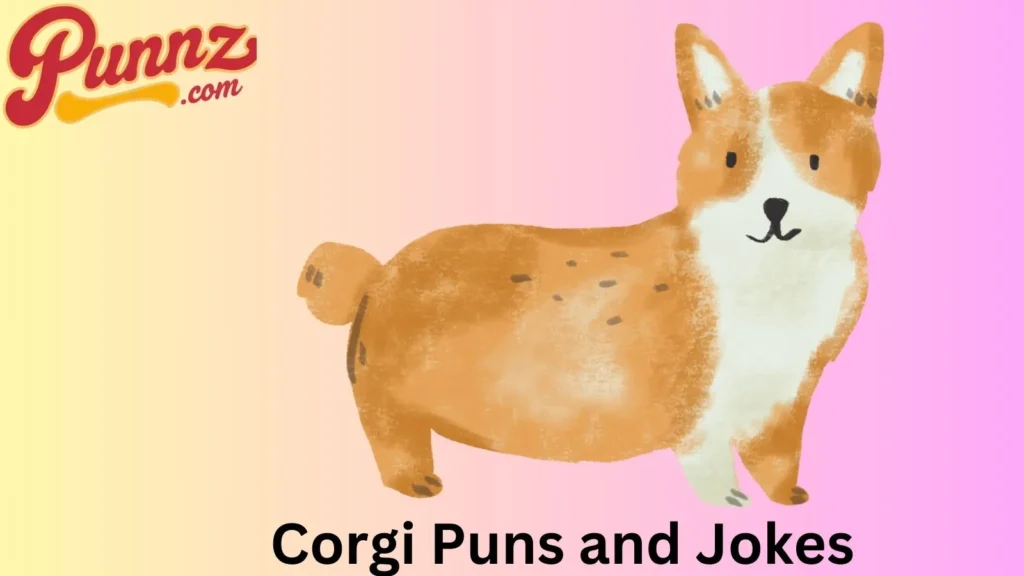 210+Corgi Puns and Jokes (2025)