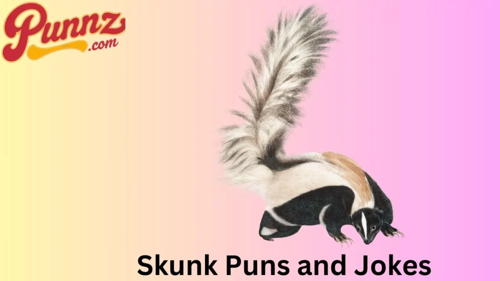 150 Skunk Puns and Jokes (2025)