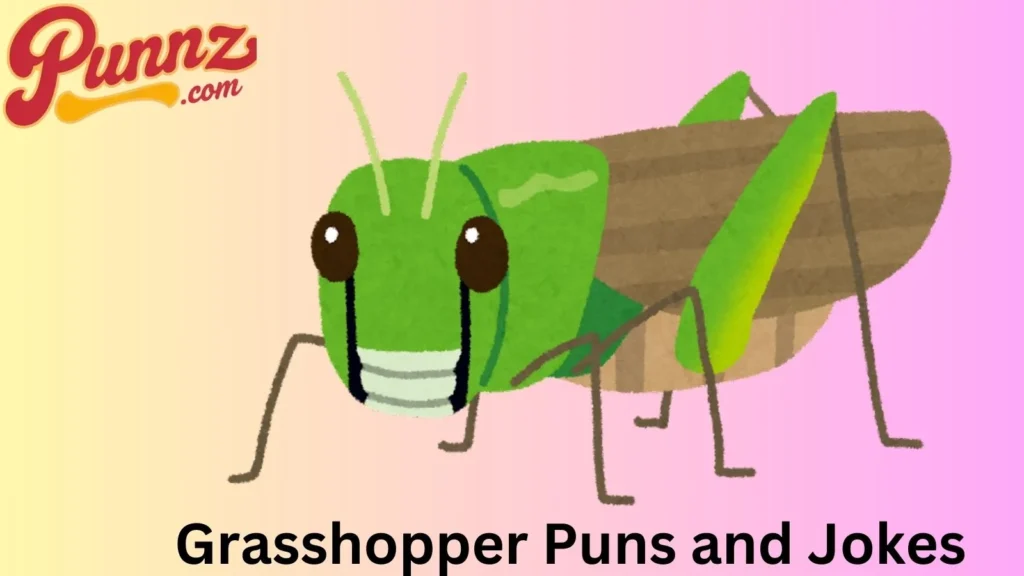Grasshopper Puns and Jokes (2025)