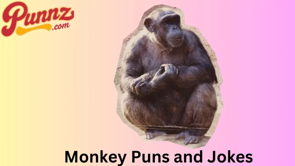 210+Monkey Puns and Jokes (2025)