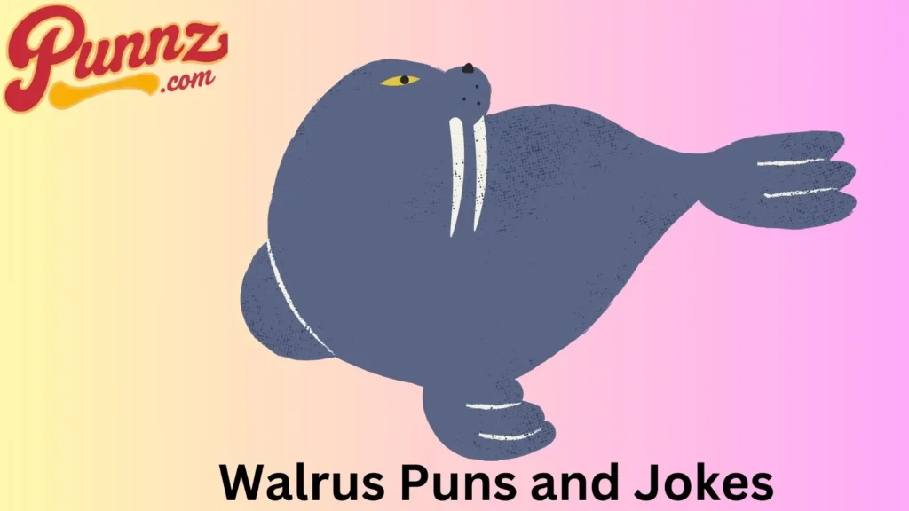 210 Walrus Puns and Jokes(2025)