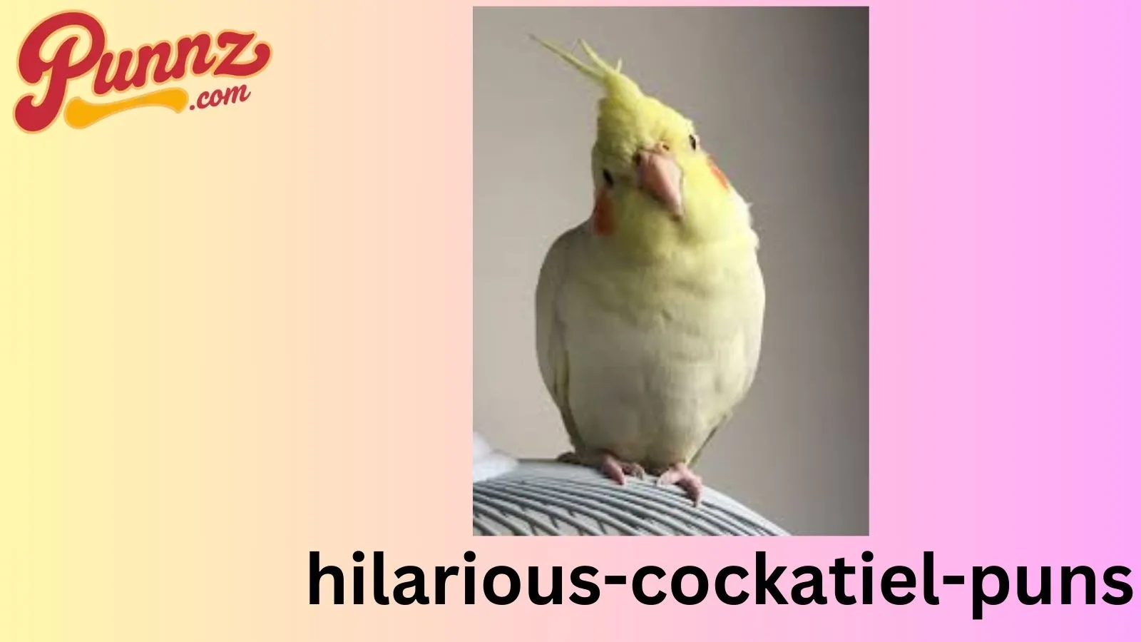 270 Hilarious Cockatiel Puns For (2025)