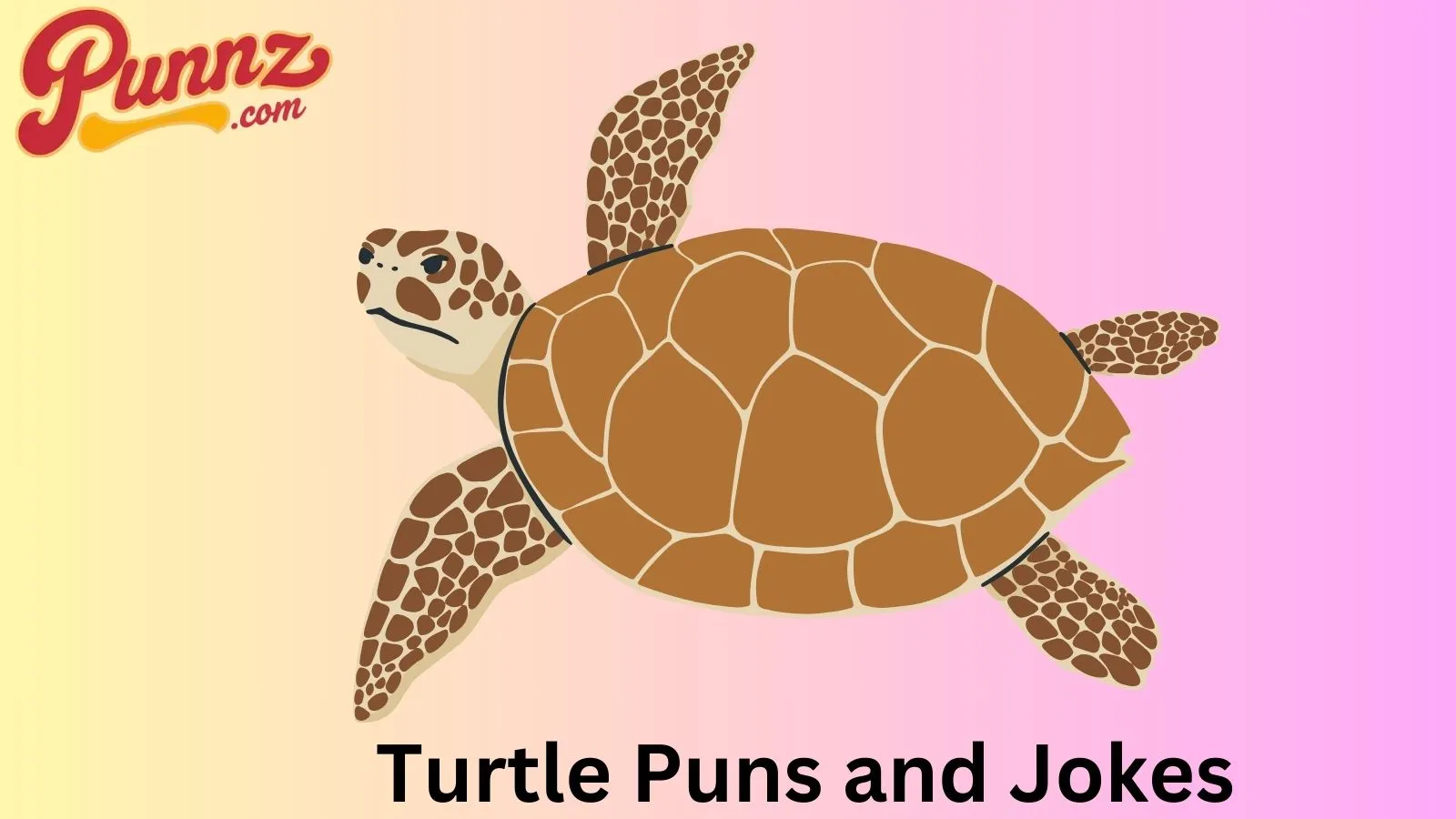 210 Turtle Puns and Jokes (2025)