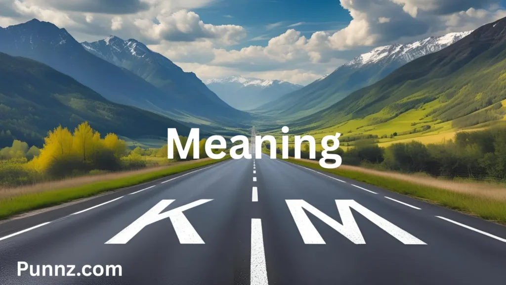 KMS Meaning: Understanding Its Use and Polite Alternatives