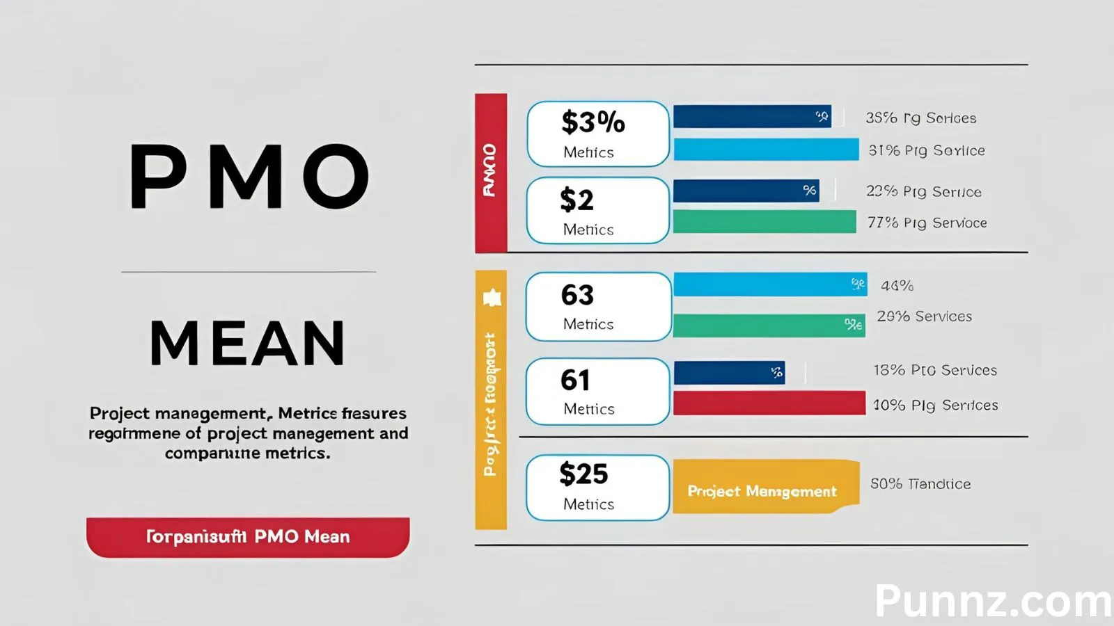What Does PMO Mean in Text? A Complete Guide