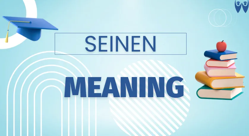 Seinen Meaning: A Complete Guide for Anime and Manga Fans